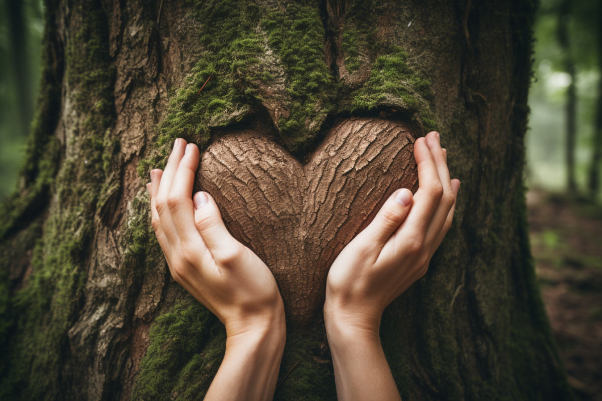 What is Plant Health Care and why you should care.